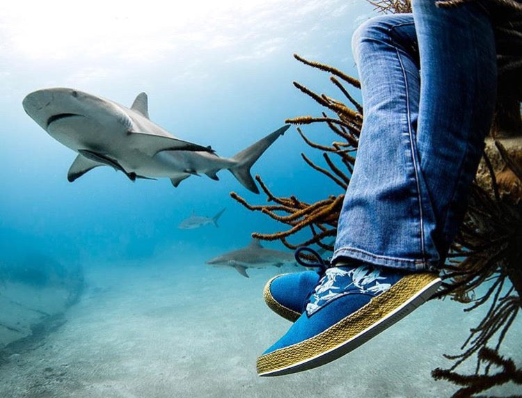 Shoes – Discover Sharks